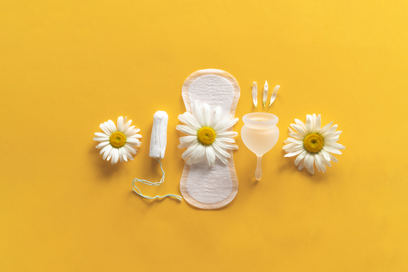 Comment Célébrer les Premières Menstruations : Idées Originales pour un ...